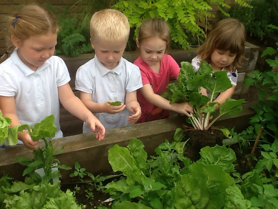 Forest Learning – Howard Community Primary School